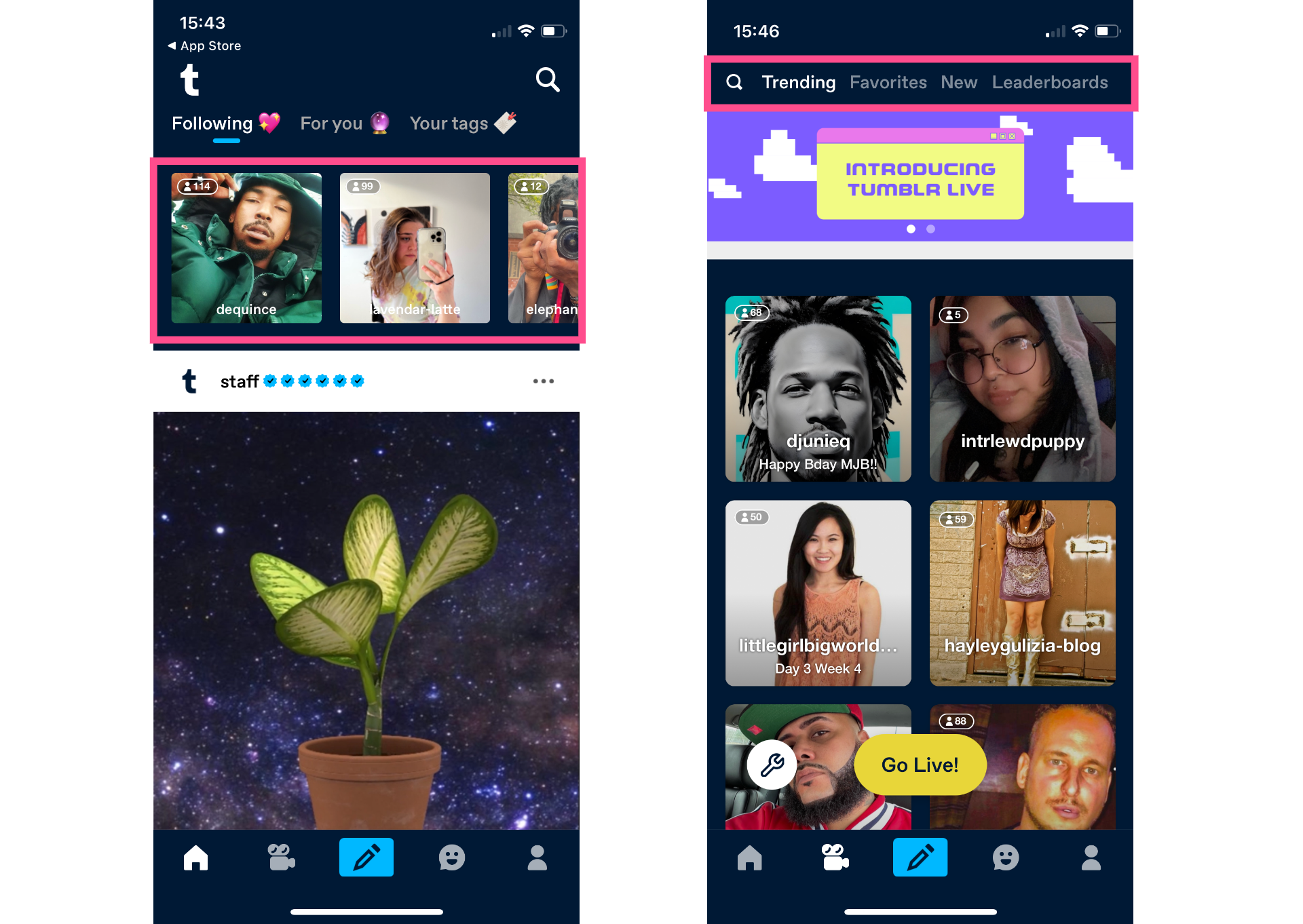 How to Use Tumblr Live for Streaming (and Why You Should) - 雷竞技app官方版下载 ...