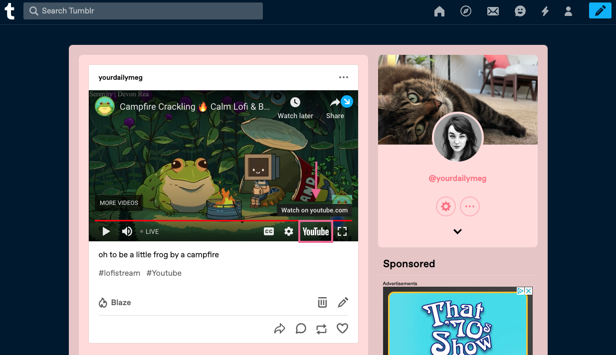 How to Use Tumblr Live for Streaming (and Why You Should) - 雷竞技app官方版下载 ...